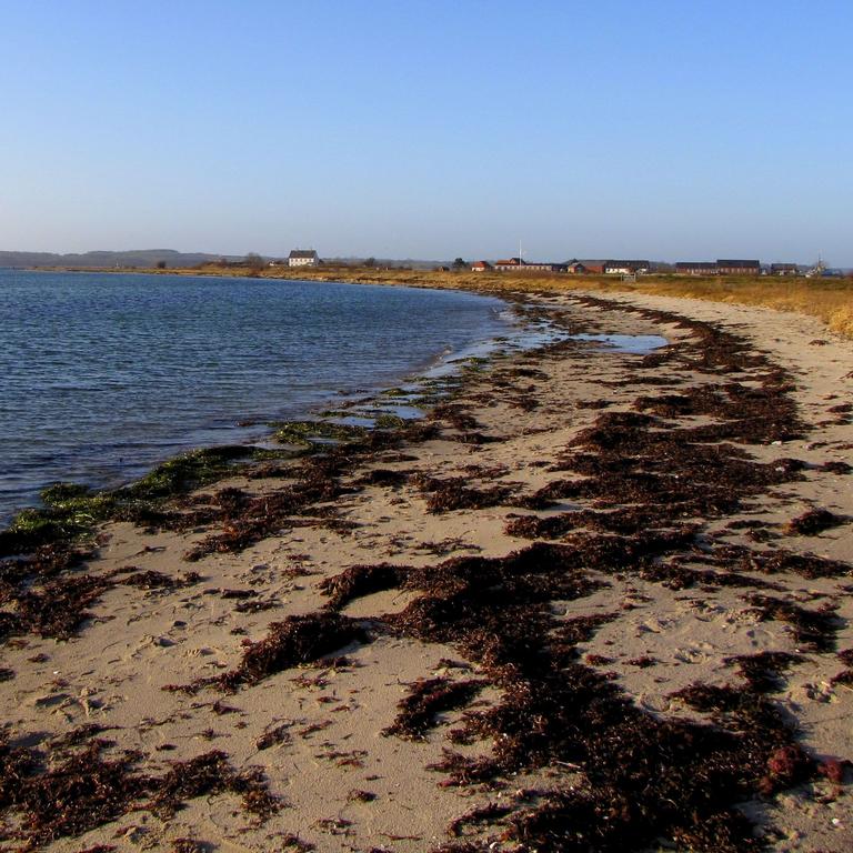 Stranden – et undervisningsmateriale til naturteknologi indskoling